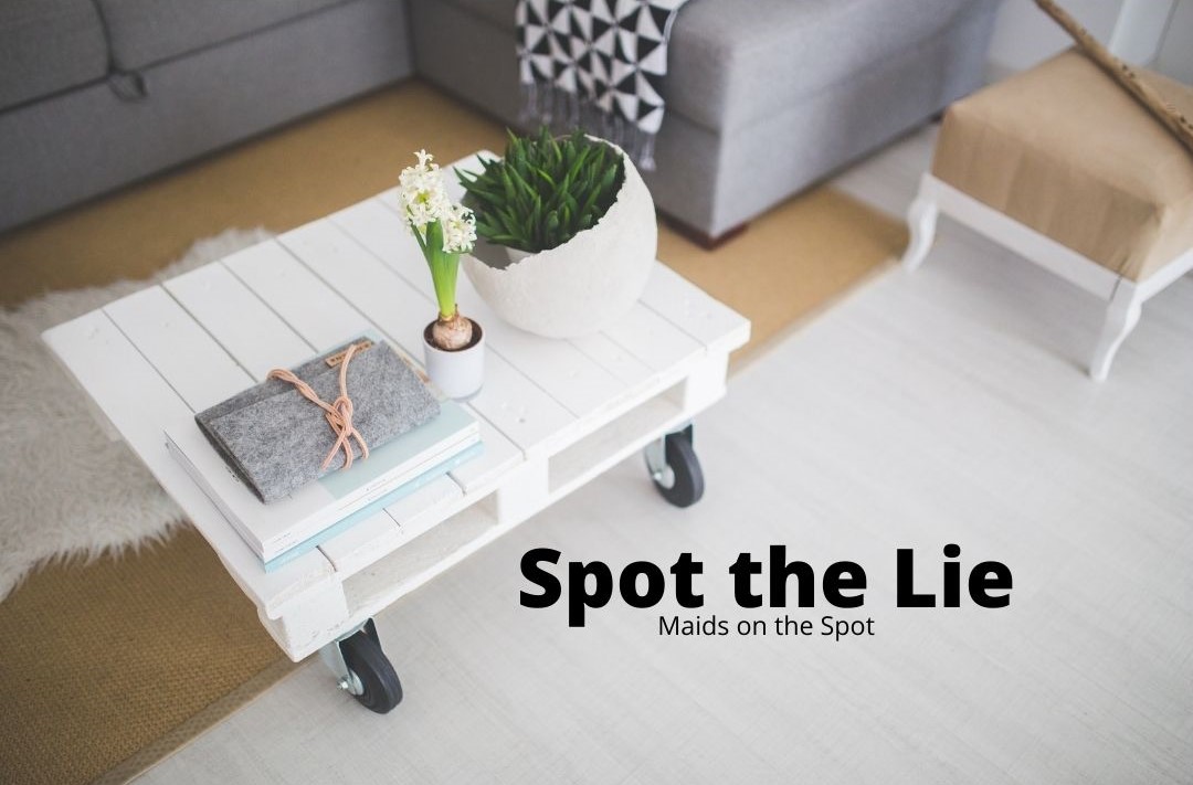Spot the Lie - Maids on the Spot