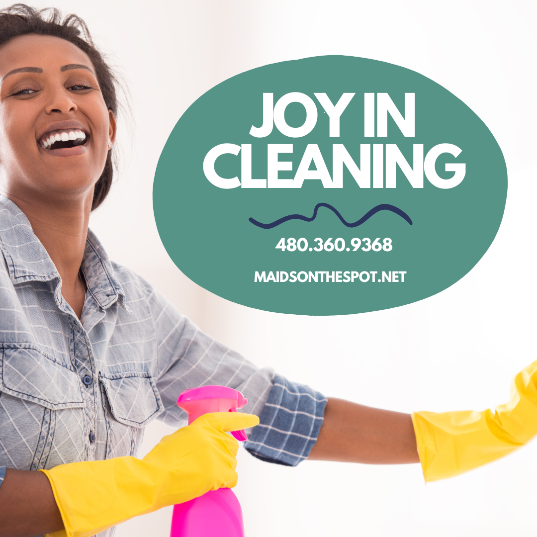 Joy in Cleaning - Maids on the Spot